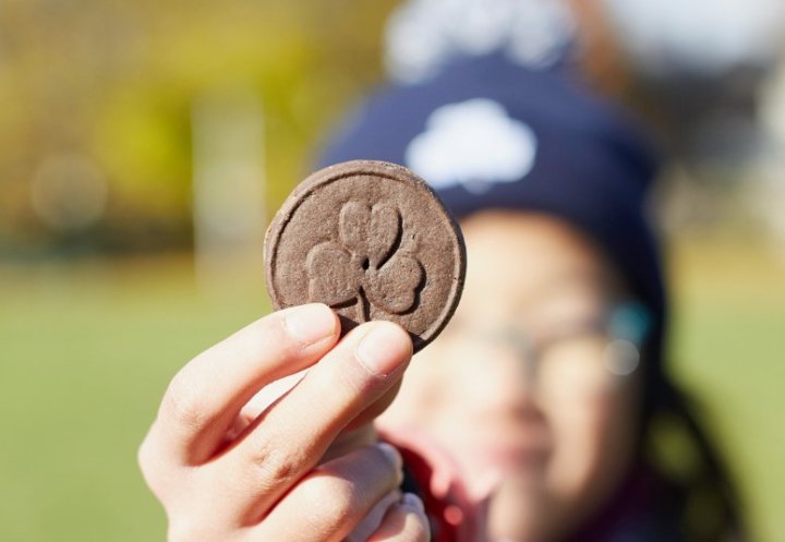 Girl Guide cookies are the latest victim of inflation — and the price ...