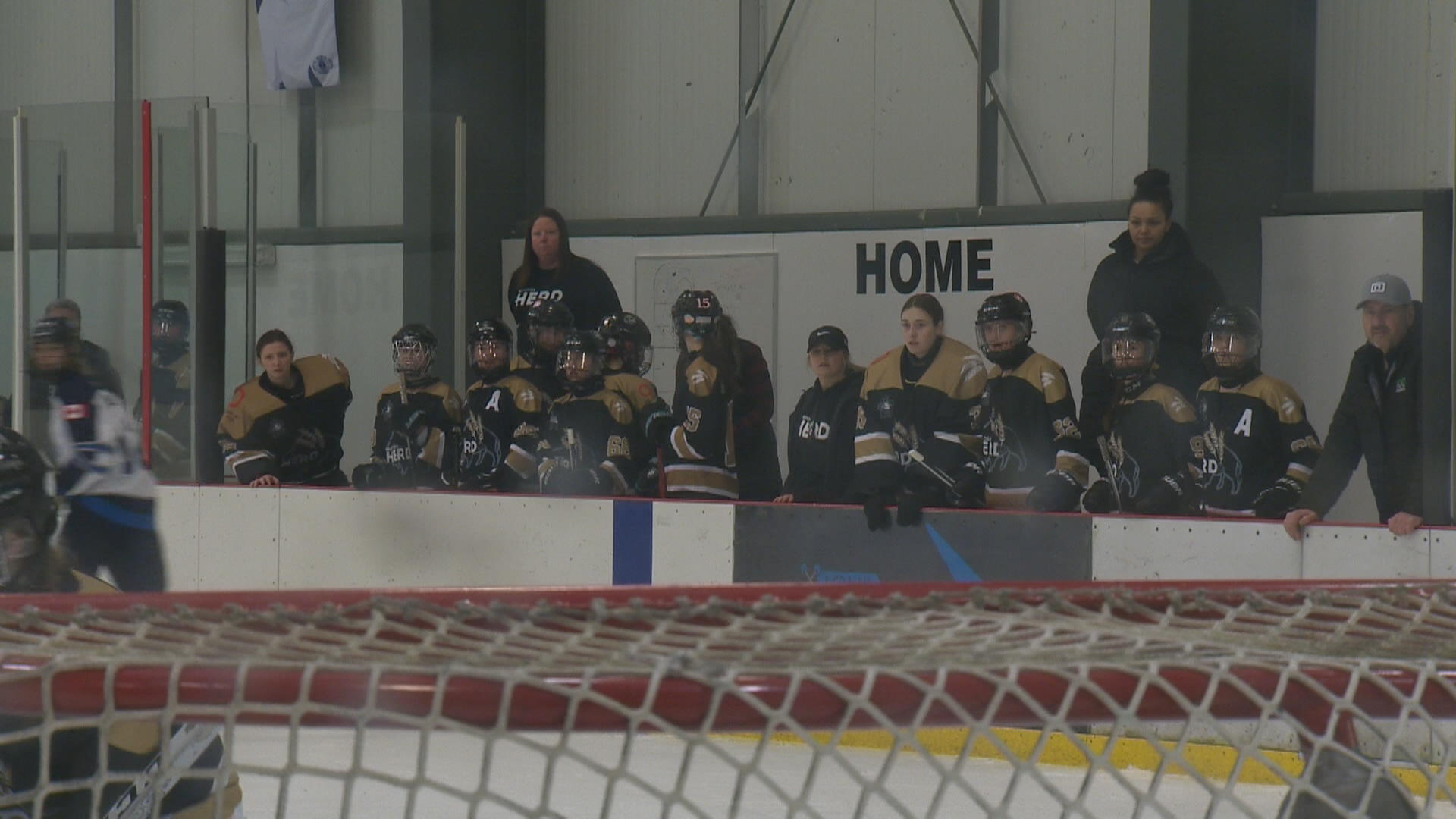 ‘We want to grow the sport’: Manitoba Herd ringette team host top ...
