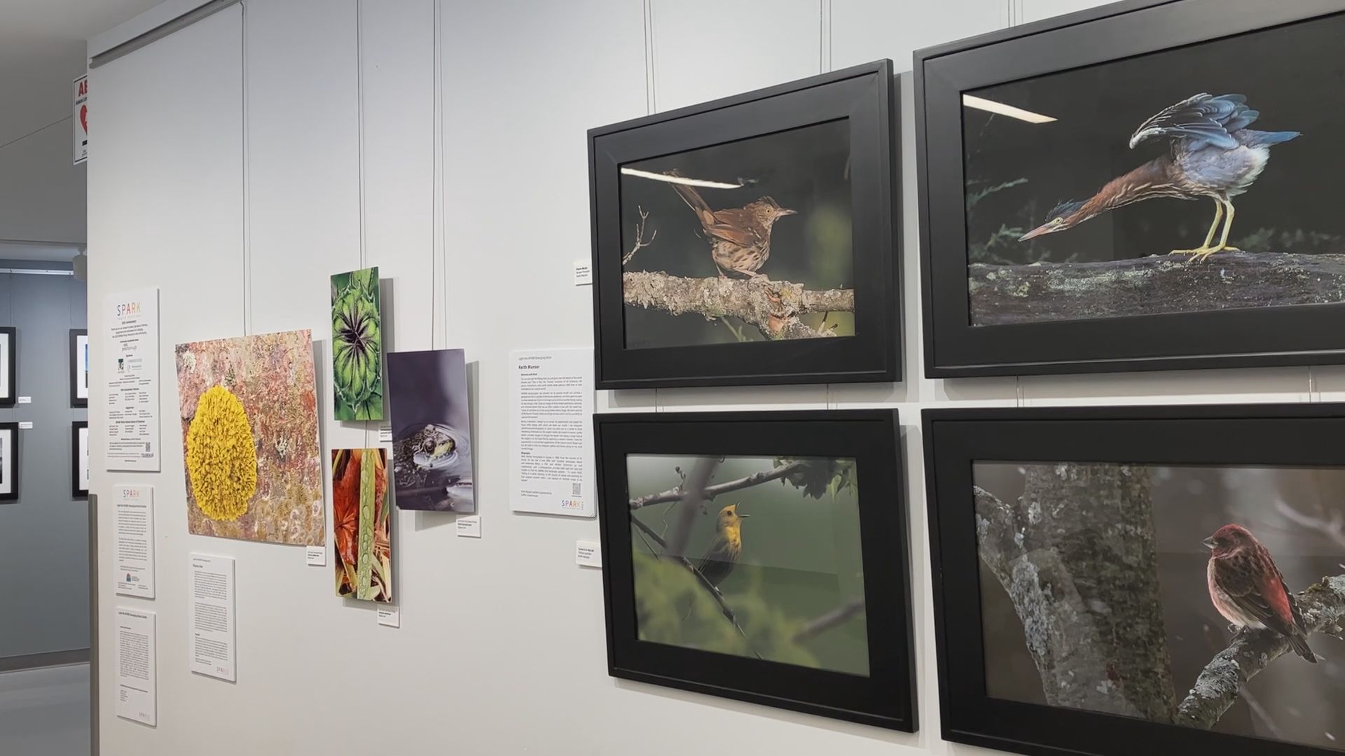 10th annual Spark Photo Festival launches Saturday in Peterborough area ...