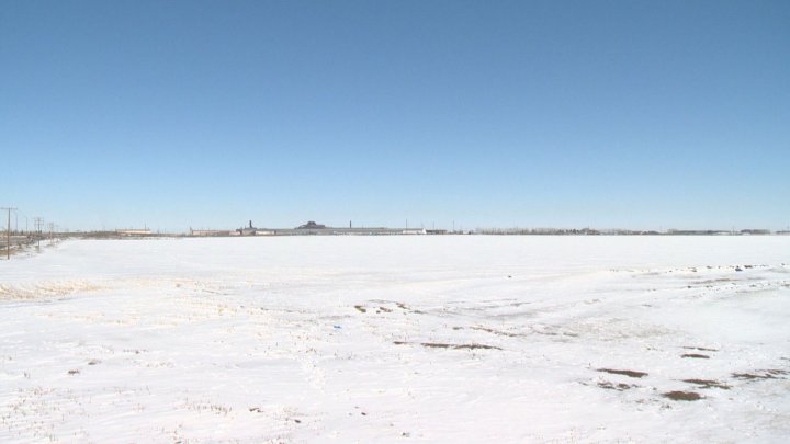 Regina city council votes unanimously in favour of Cowessess land ...