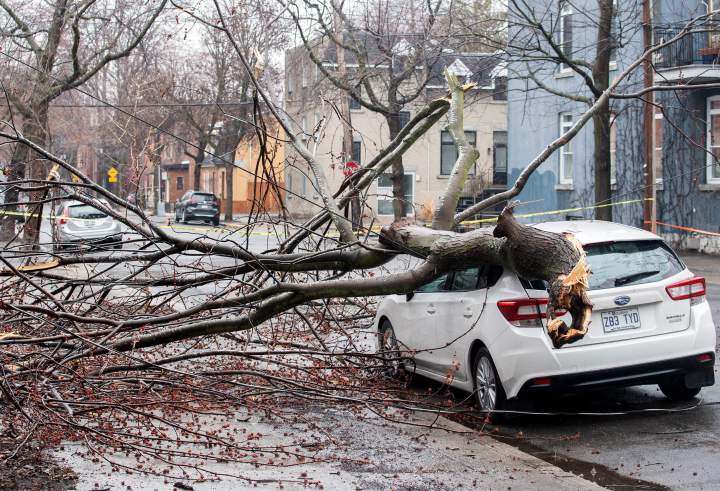 Comox, BC Weather | Forecast Conditions - Weather Predictions & Radar