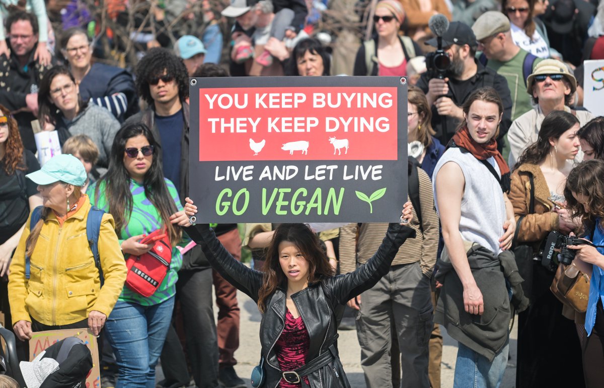 In photos: Thousands demonstrate in Montreal for Earth Day - Montreal ...