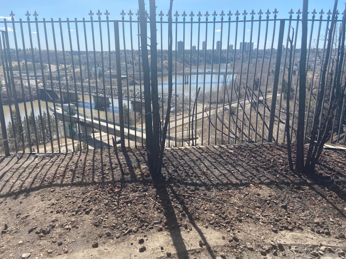 Fire crews called to blaze in Edmonton’s river valley - Edmonton ...