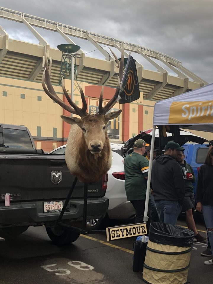 Edmonton area distillery offering reward for return of mascot, Seymour ...