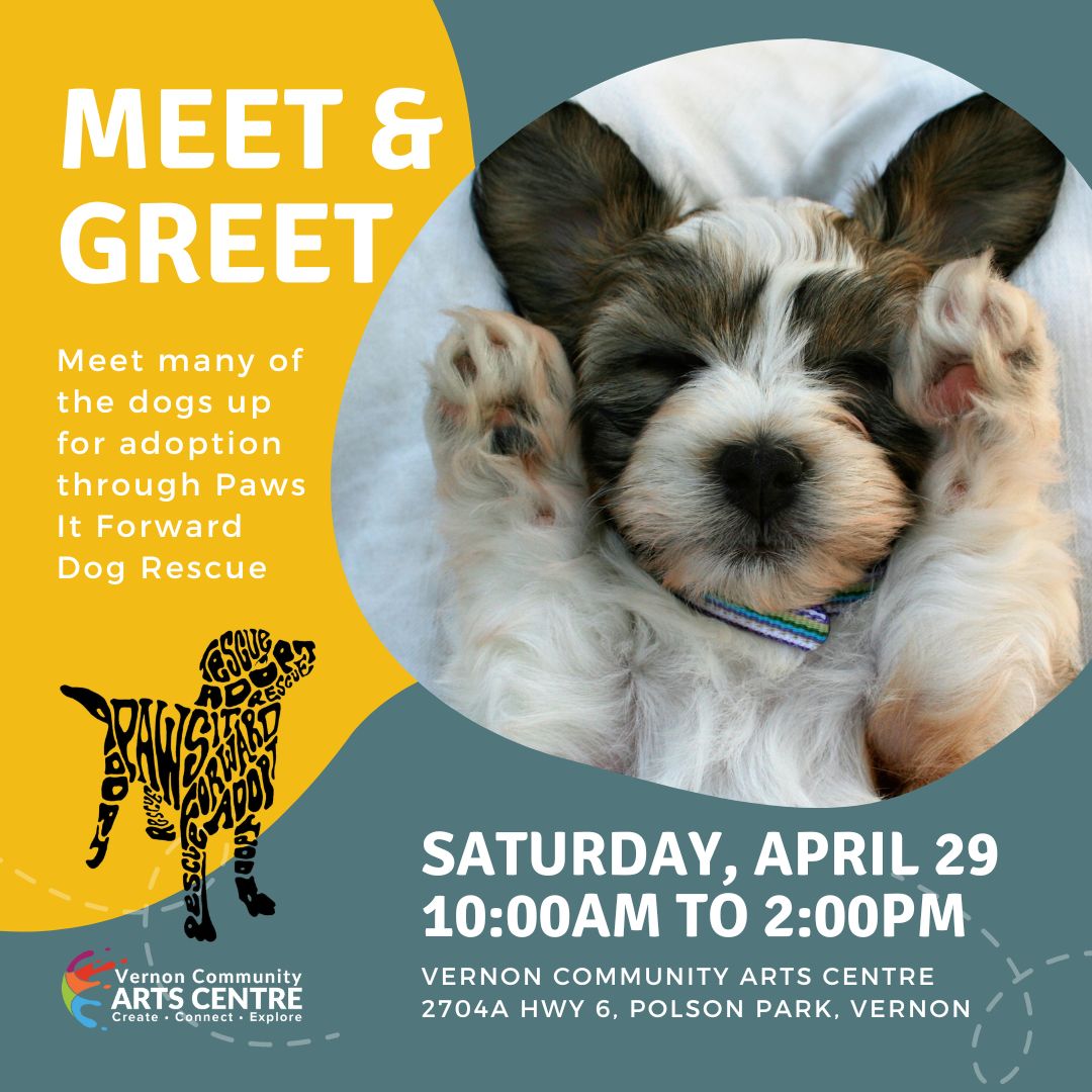 Paws It Forward Meet & Greet - GlobalNews Events