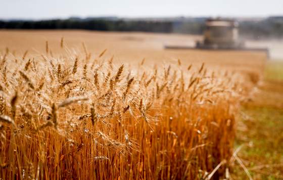 GlobalNews - Staff Personalities | Anne Gaviola