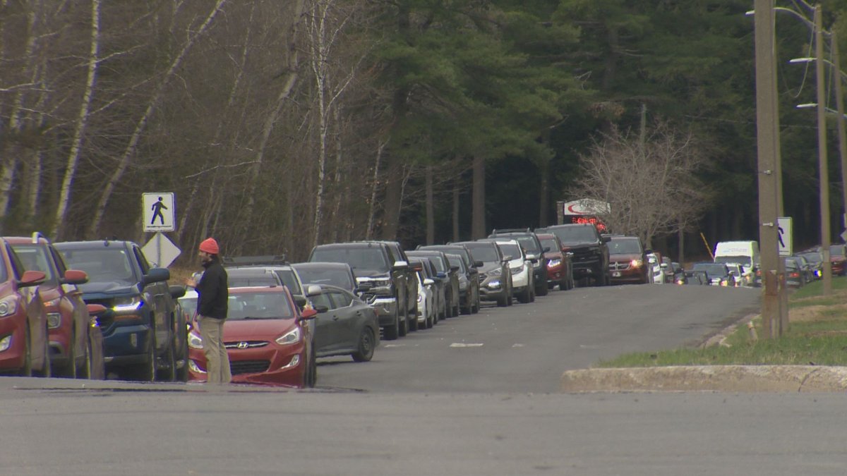 Picket lines go up in N.B. as part of federal government workers ...