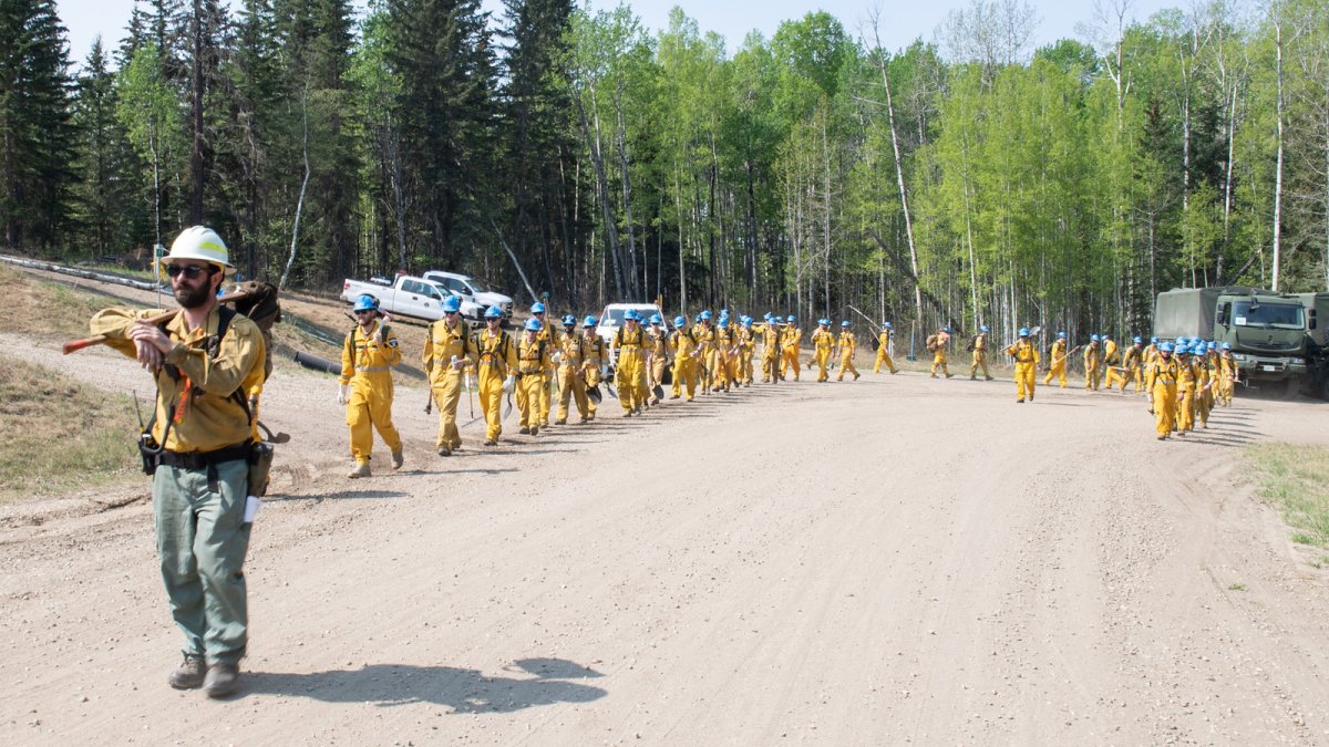 Alberta wildfires: Grande Prairie residents prepare in case they need ...