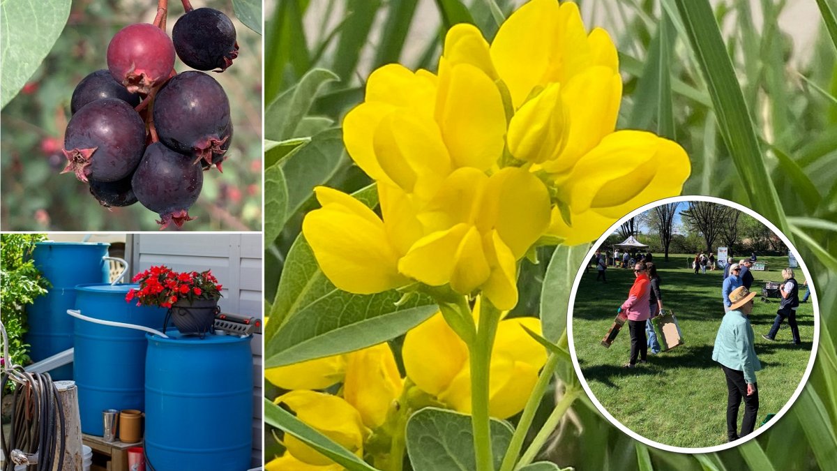 Be YardSmart - GlobalNews Events