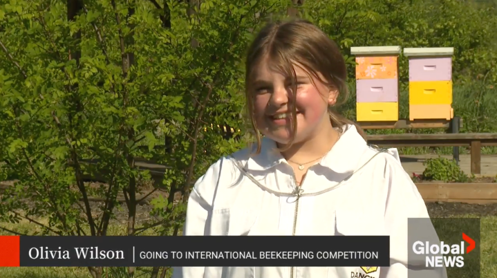 What’s the buzz? Ontario teen beekeeper to showcase skills at ...