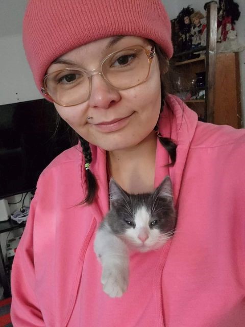 Cat tortured, found dead in microwave after northwest Edmonton break-in ...