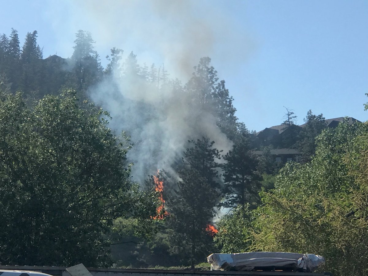 Wildfire sparks in Kelowna, B.C. homeless camp - Okanagan | Globalnews.ca