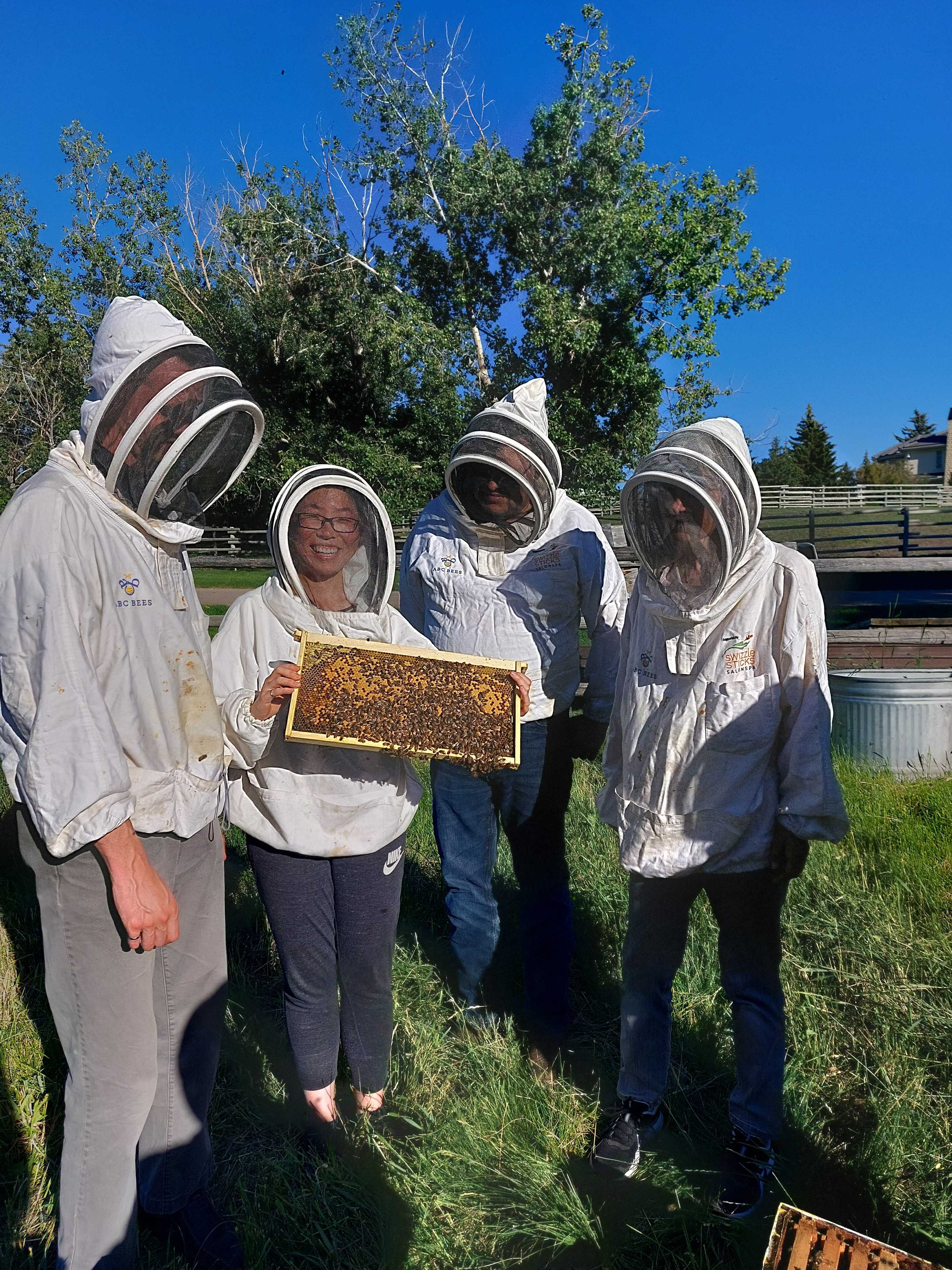 Honey Bee Hive Tours - GlobalNews Events