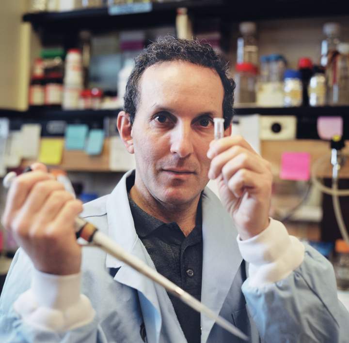 How a Canadian scientist and a venomous lizard helped pave the way for ...
