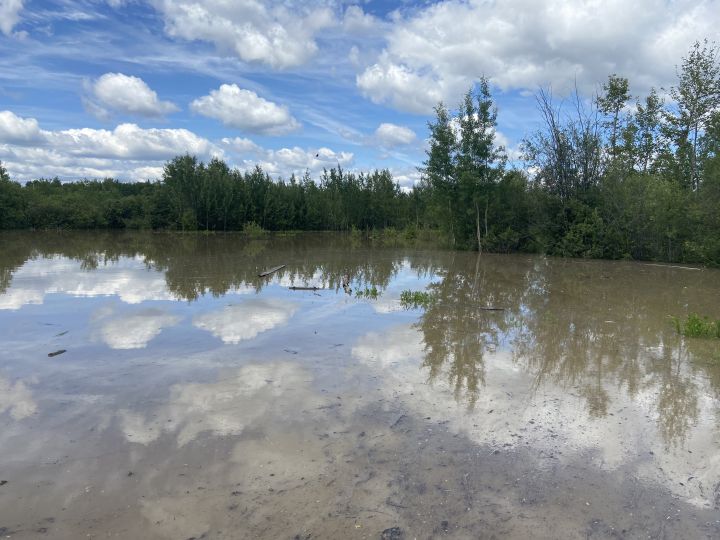 Alberta floods: Town of Whitecourt issues state of local emergency ...