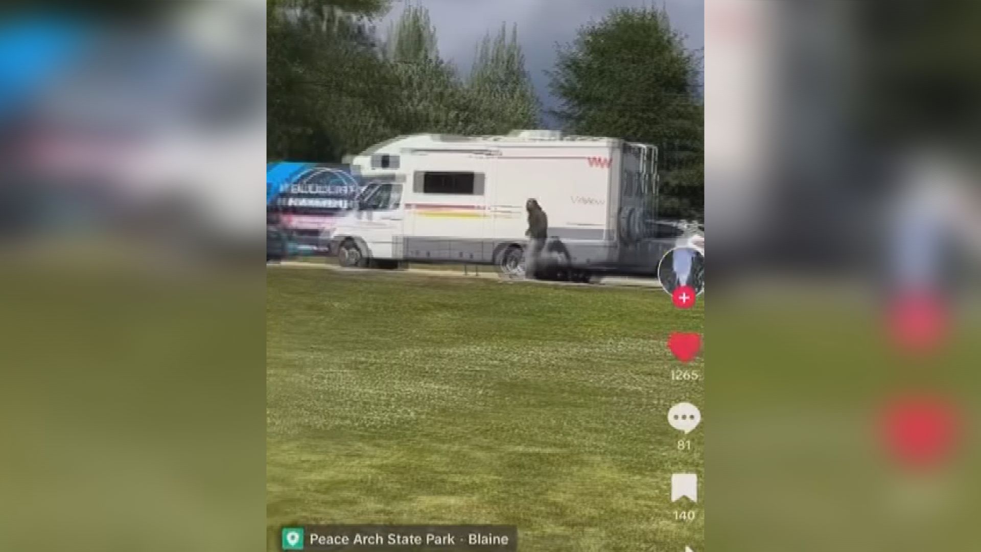 Video shows man at Peace Arch crossing making a run for the Canadian ...