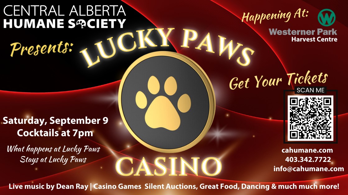 CA Humane Lucky Paws Casino - GlobalNews Events