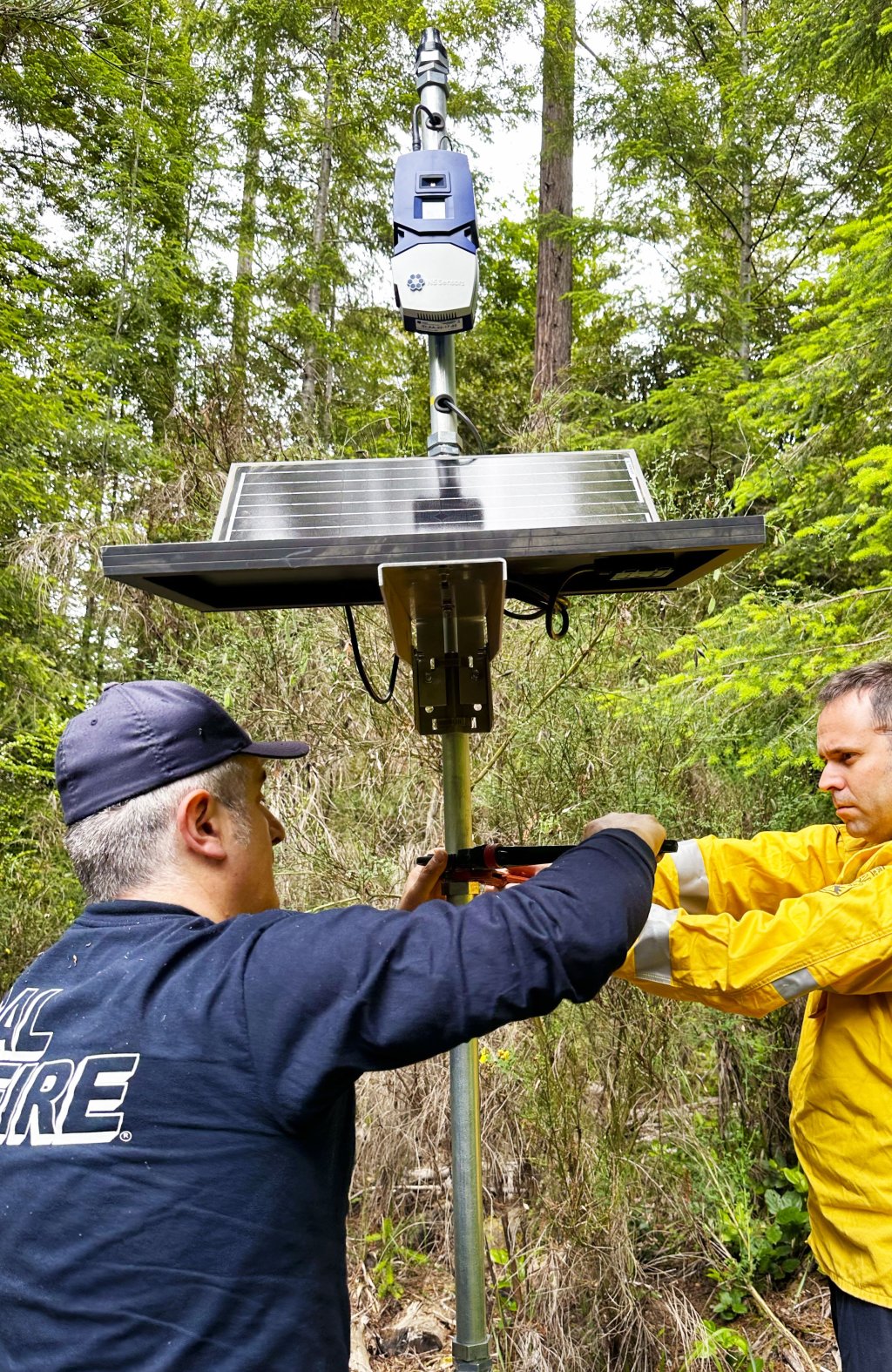 How tiny sensors in the forest are shaping the future of firefighting ...
