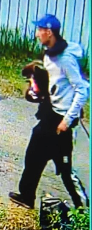 Edmonton police seek suspect in arsons that damaged 6 garages - Edmonton | Globalnews.ca