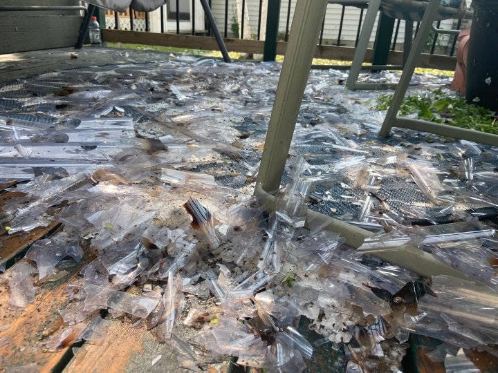 ‘Devastating’ Calgary hail storm damages homes, cars and gardens ...