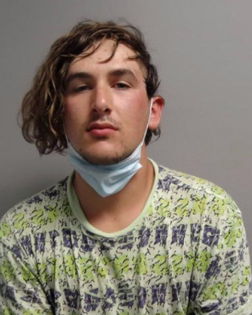 51 firearms seized on Wolfe Island in OPP guns and gangs raids ...