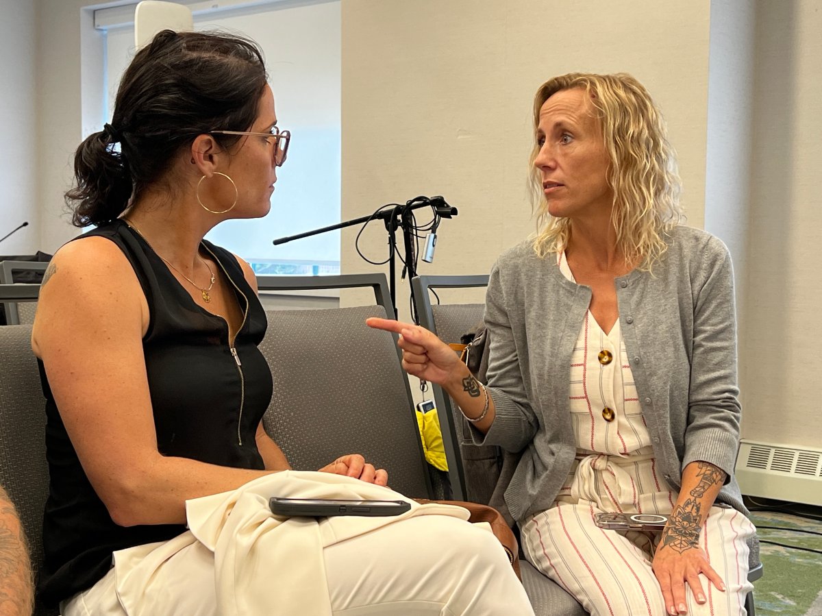 Carrie Low tells review board about her trauma from N.S. police ...