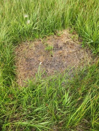 Winnipeg family relieved to learn son’s memorial safe and sound after ...