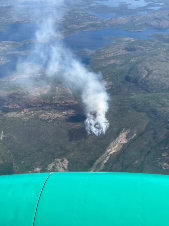 Devyn Gale | News, Videos & Articles