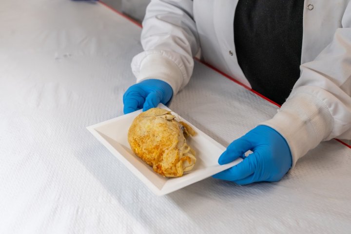 Ontario researchers say new packaging tray can warn of food ...