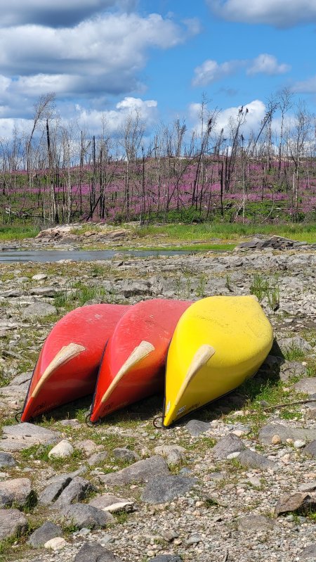 Your Saskatchewan photo of the day: July 2023 | Globalnews.ca