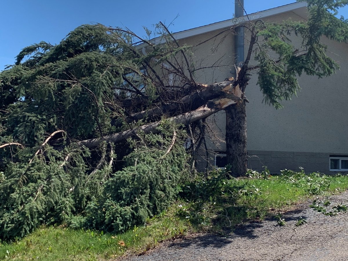 Cleanup underway in Westlock, Alta., after powerful storm tears through ...