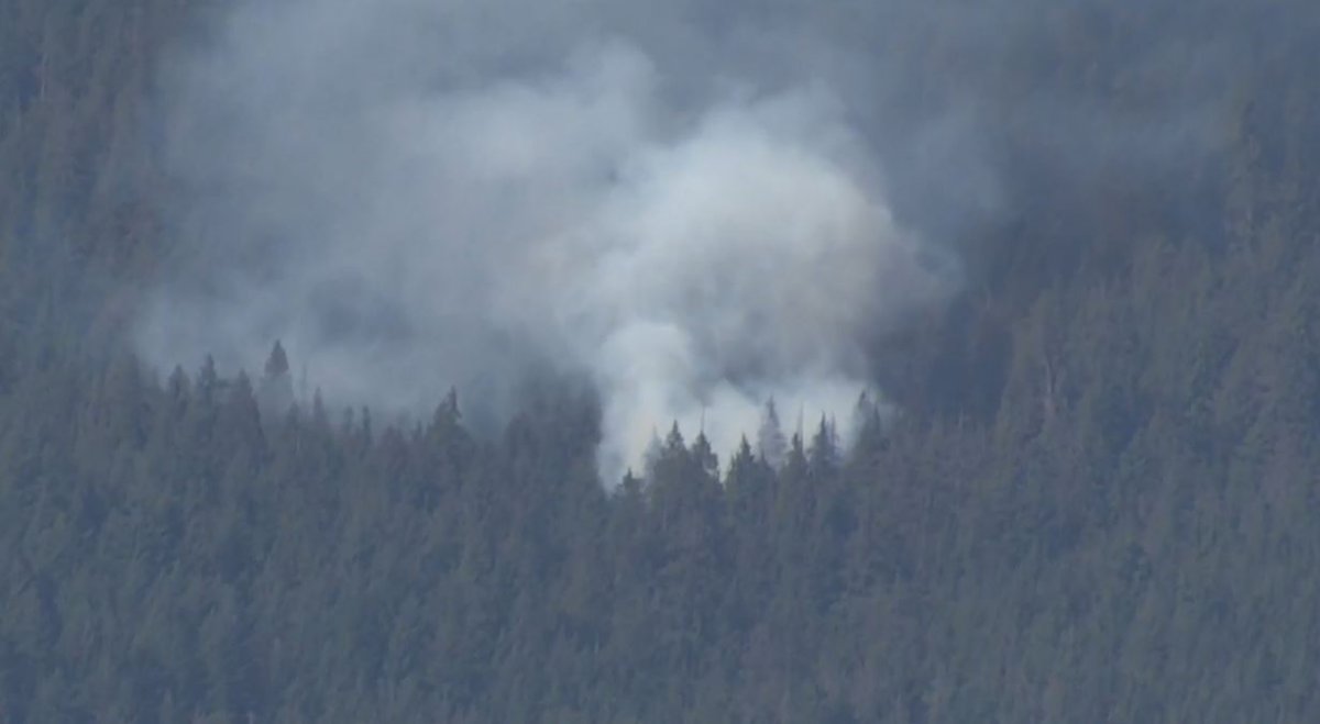 Out-of-control wildfire on Mount Seymour ‘responding to suppression ...