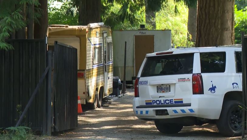 Multiple arrests made after shots fired in Maple Ridge - BC | Globalnews.ca