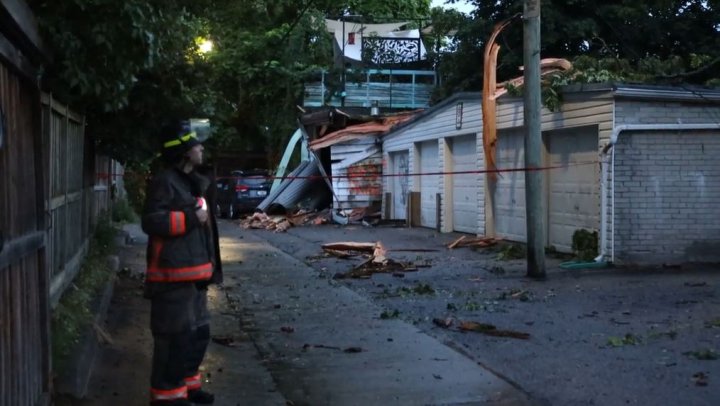 Large maple tree struck by lightning falls on 2 Toronto homes - Toronto ...