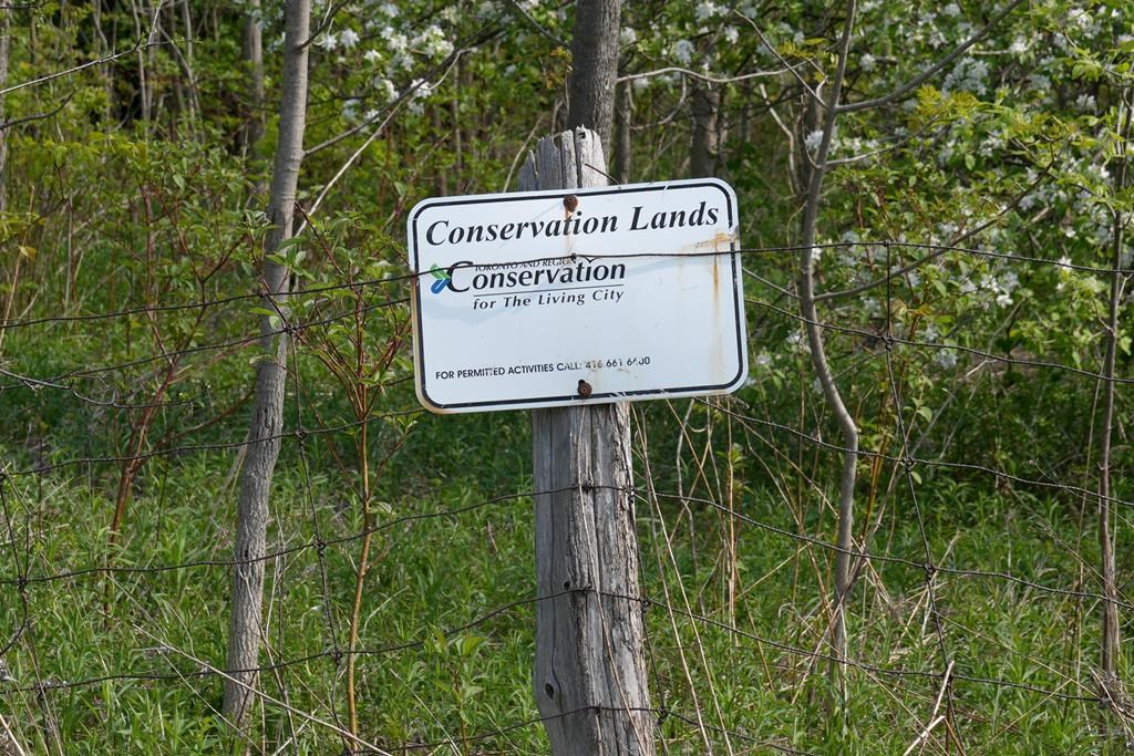 A chronology of key events following Ontario’s decision to develop ...