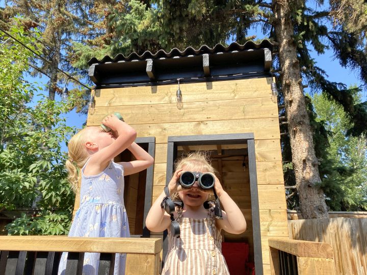 Canada-wide ‘Big Backyard Bioblitz’ helps conservation efforts ...