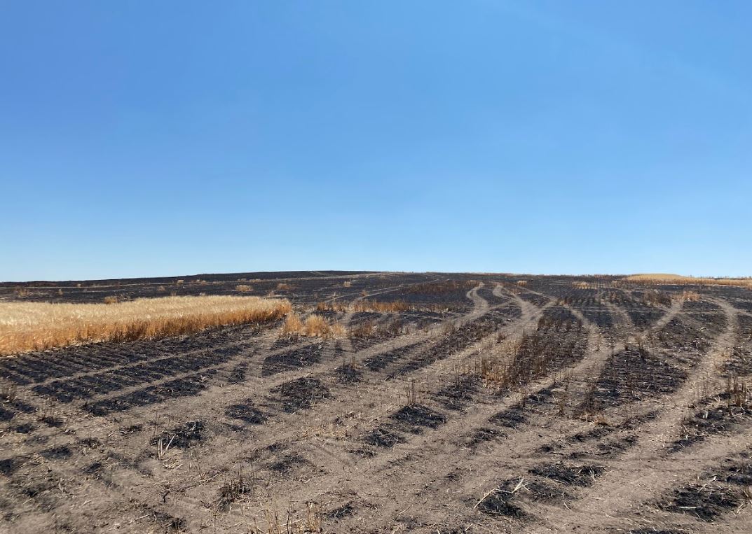 Police and fire trucks destroyed in Kainai Nation grass fire ...