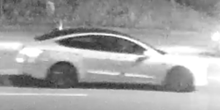 Tesla driver may have witnessed deadly hit and run, Surrey RCMP say ...