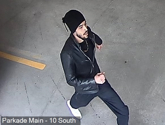 Suspects sought after ATA Pride flag destroyed during 1 Million March ...