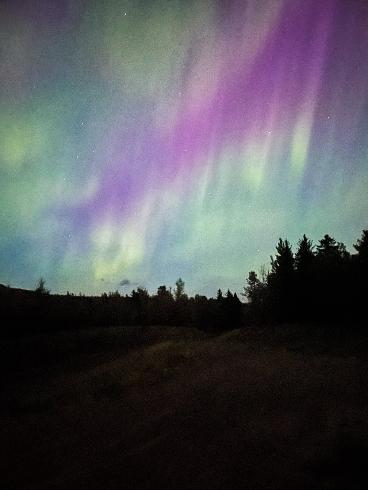 Alberta aurora watchers treated to stunning Northern Lights display ...