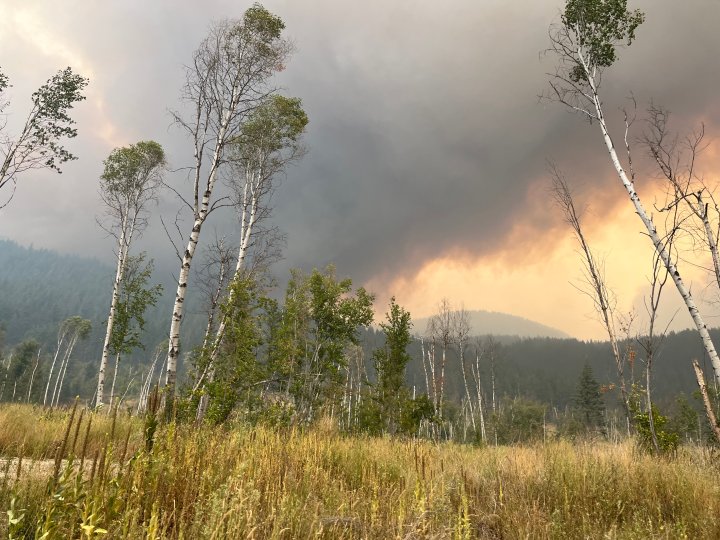 Residents ask to be part of wildfire fighting effort in North Shuswap ...