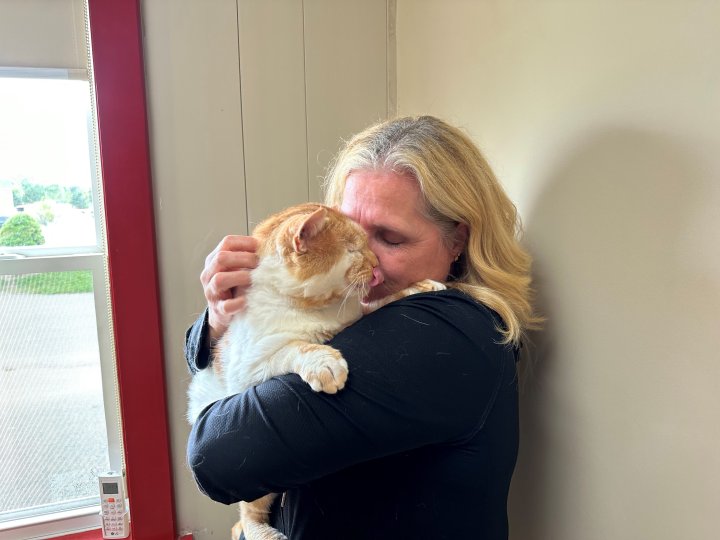 Nova Scotia animal rescues warn housing crisis forcing some to give up ...