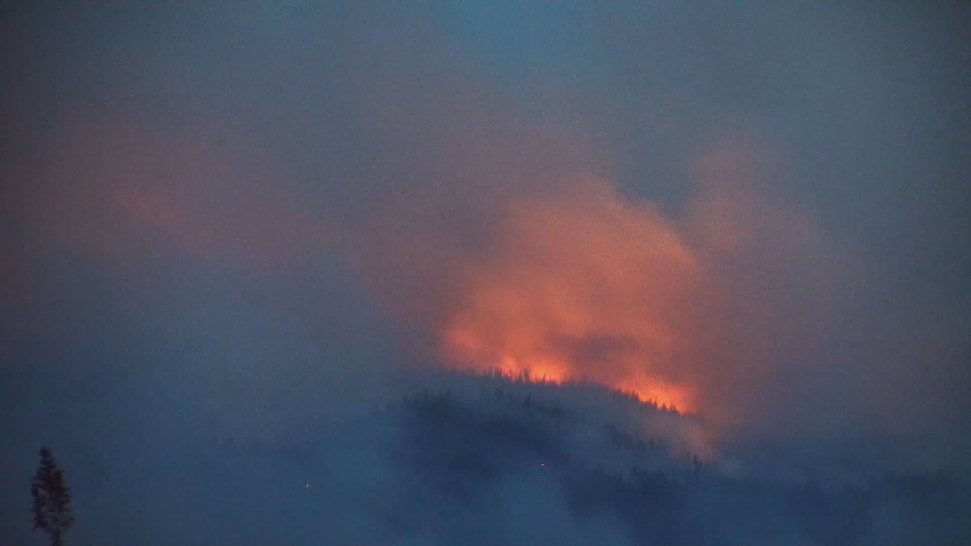 ‘It’s all about educating the youth’: FireSmart BC releases new ...