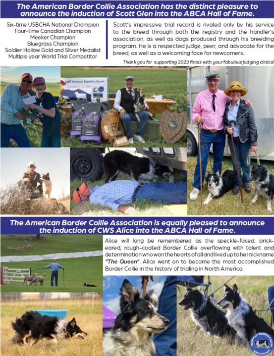 Southern Alberta stock dog trainer inducted into Border Collie Hall of ...