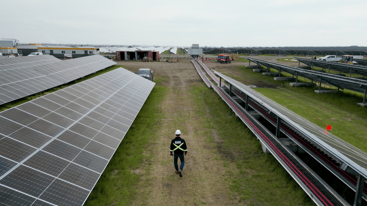 How Alberta became a green energy leader then squandered it | Globalnews.ca