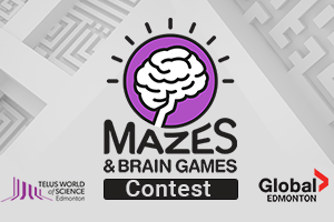 Global Edmonton: Mazes and Brain Games Exhibition Contest - GlobalNews ...