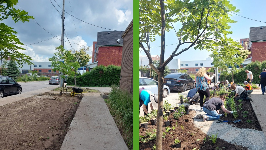 Green initiative continues to transform concrete for gardens on ...