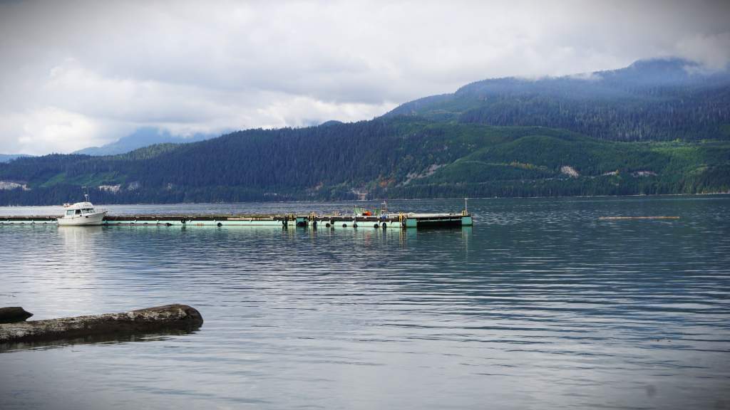 Haisla Nation aims to unlock ‘transformational’ opportunity with LNG ...