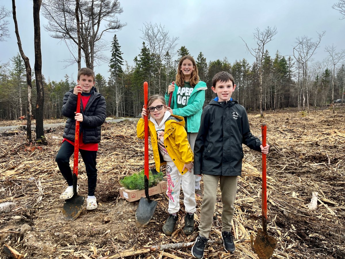 ‘It gives them hope’: Volunteers plant trees on land devastated by N.S ...