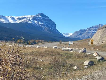 Bear attack in Banff National Park leaves two dead: Parks Canada ...